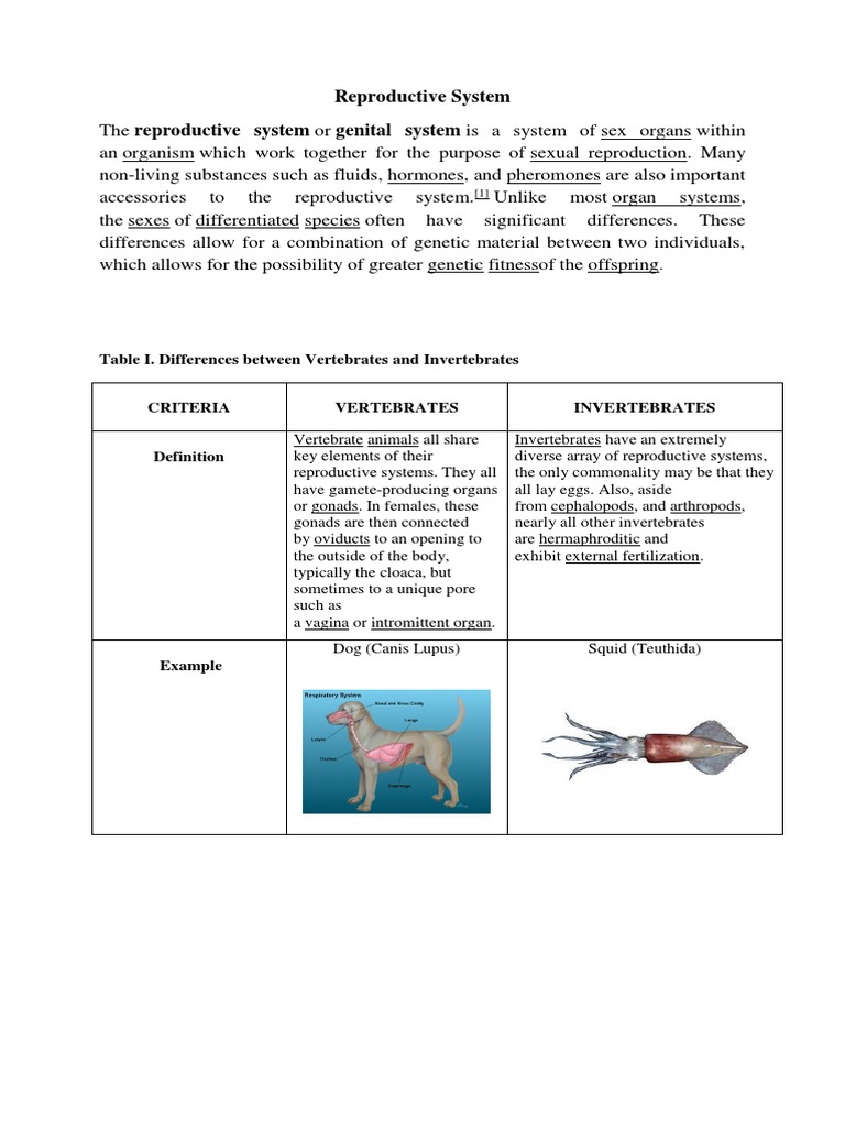 Reproductive System: Table I. Differences Between Vertebrates and ...