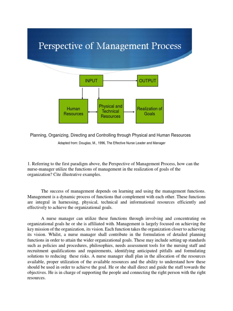 Perspective of Management Process: Input Output | PDF