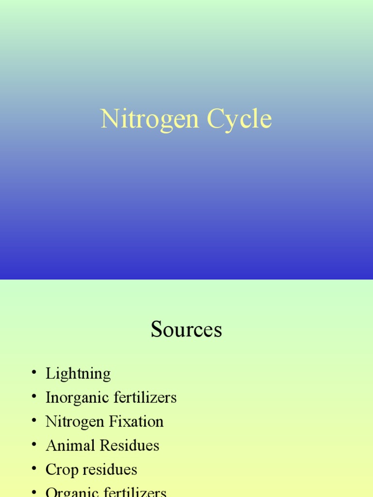 Nitrogen Cycle | PDF | Nitrogen | Biology