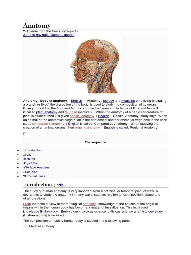 Anatomy: Jump To Navigationjump To Search | PDF | Tissue (Biology ...