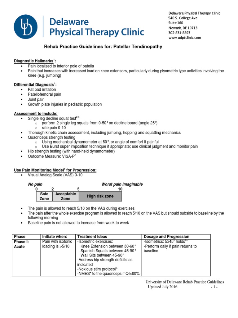 Rehab Practice Guidelines For: Patellar Tendinopathy | PDF ...