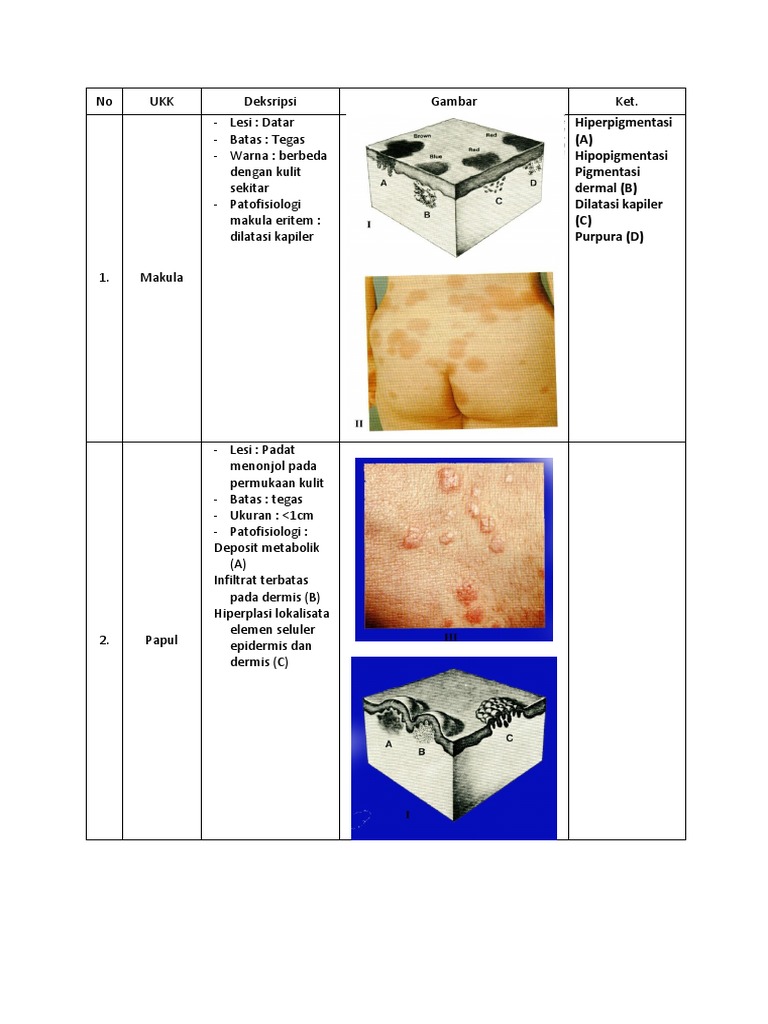 Rangkuman UKK Primer | PDF