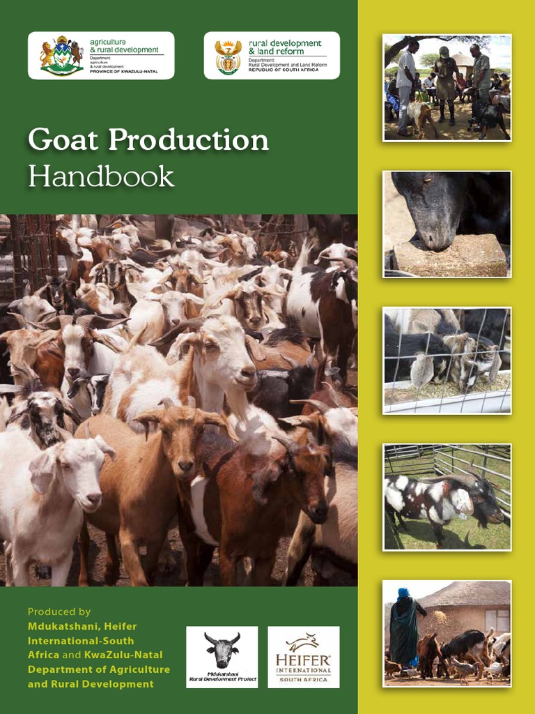 Goat Production Handbook | PDF | Goat | Immunity (Medical)
