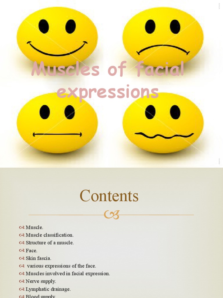 Muscles of Facial Expression | PDF | Nervous System | Human Nose