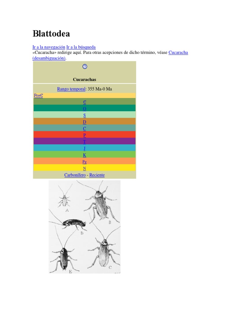Blattodea.pdf | Insectos | Fósiles Vivientes