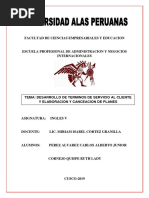 Manual de Amadeus Críptico | PDF | aerolíneas | Aviación