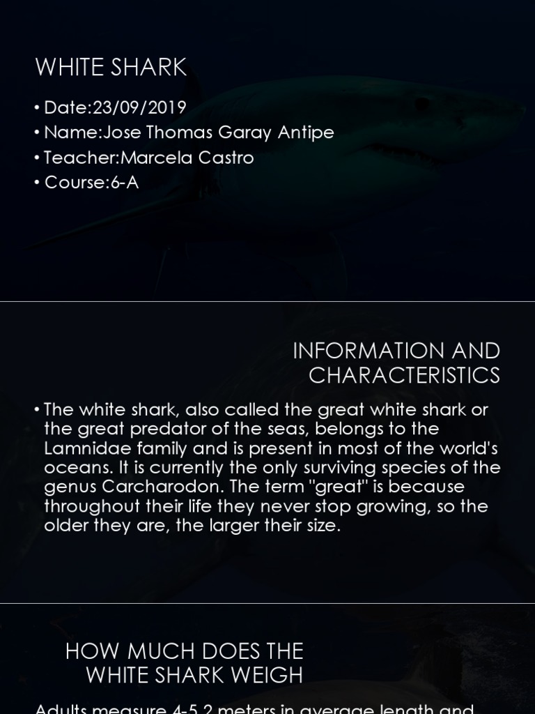 Great White Shark Facts and Insights | PDF | Social Science | Wellness