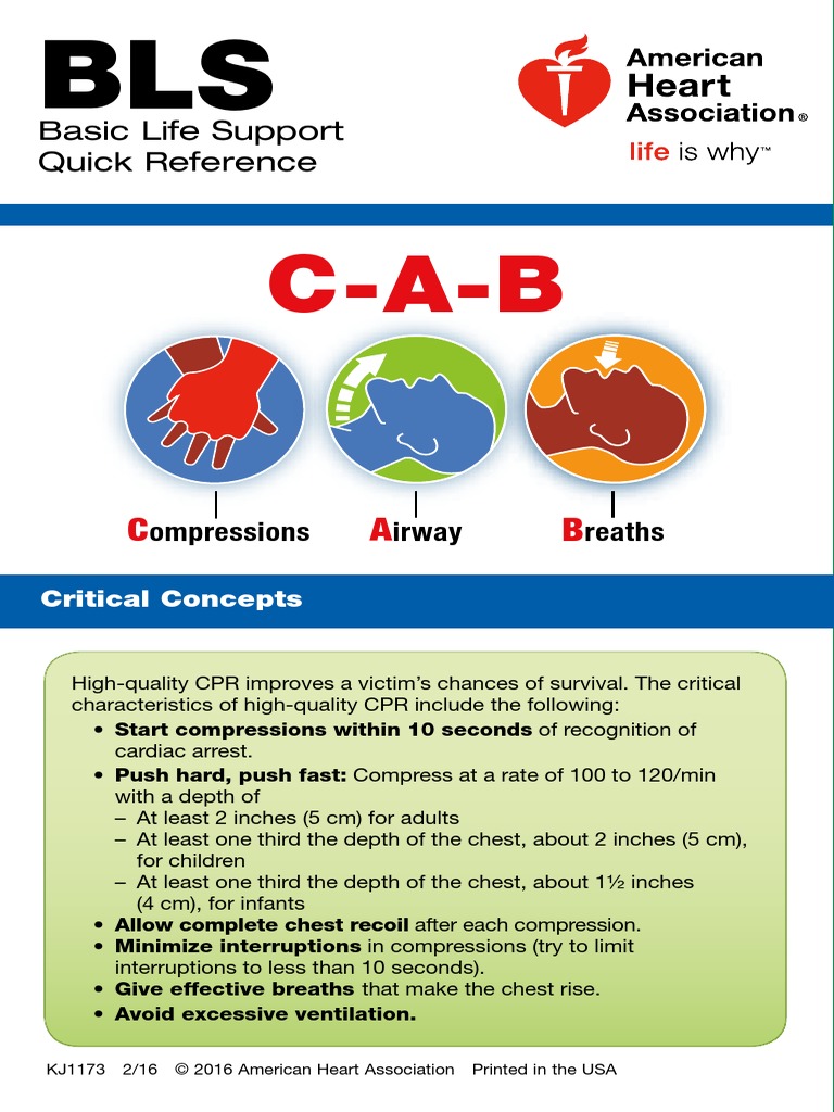 BLS PDF | PDF | Cardiopulmonary Resuscitation | Traumatology