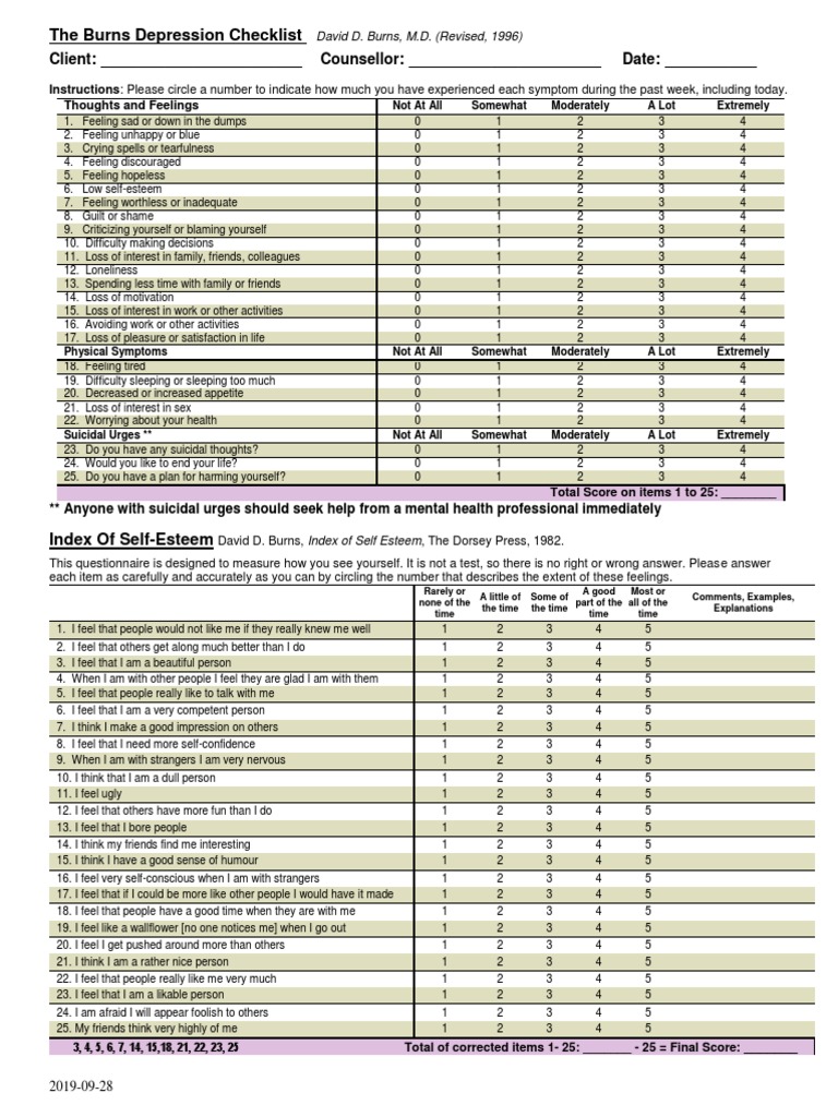 The Burns Depression Checklist | PDF | Anxiety | Medical Specialties