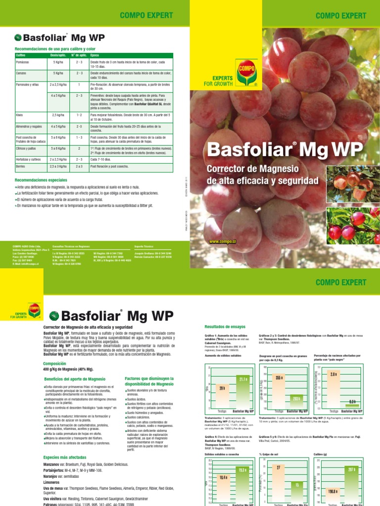 Diptico Basfoliar MG WP | PDF | Magnesio | Sustancias químicas