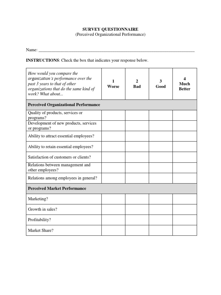 Org Performance Questionnaire | PDF