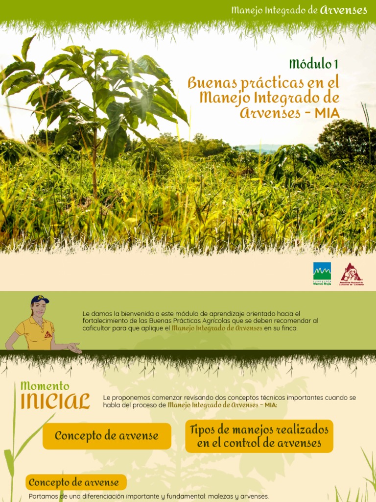 Arvenses Modulo1 | PDF | Plantas | café