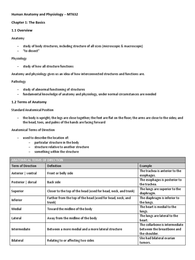 Reviewer of Anatomy and Physiology (Basics) | PDF | Anatomical Terms Of ...
