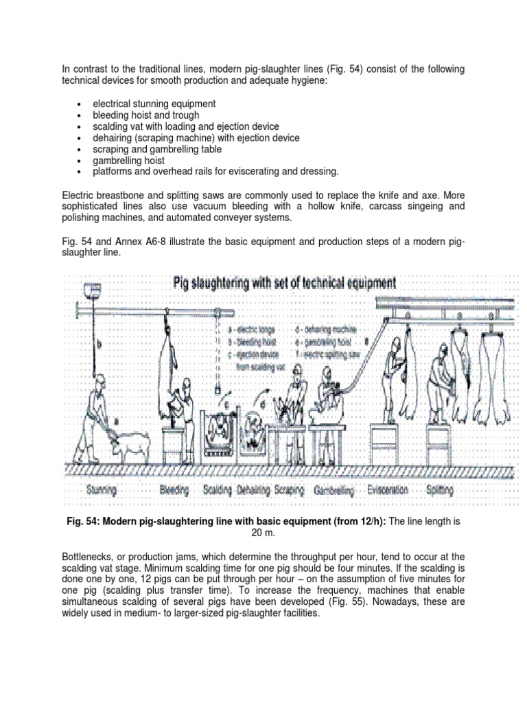 Slaughtering Process | PDF | Anaerobic Digestion | Sewage Treatment
