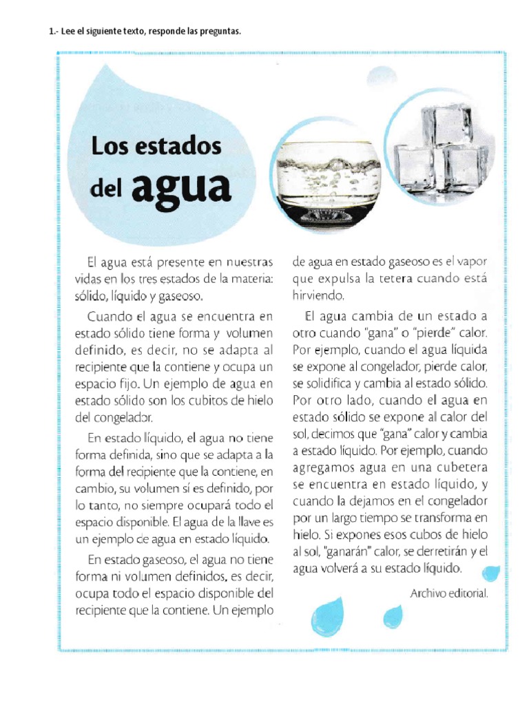 Texto Informativo Estados Agua Segundo Básico | PDF