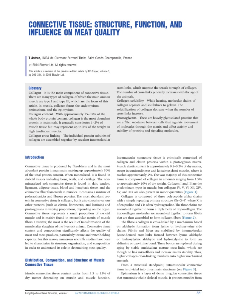 Connective Tissue: Structure, Function, and Influence On Meat Quality ...