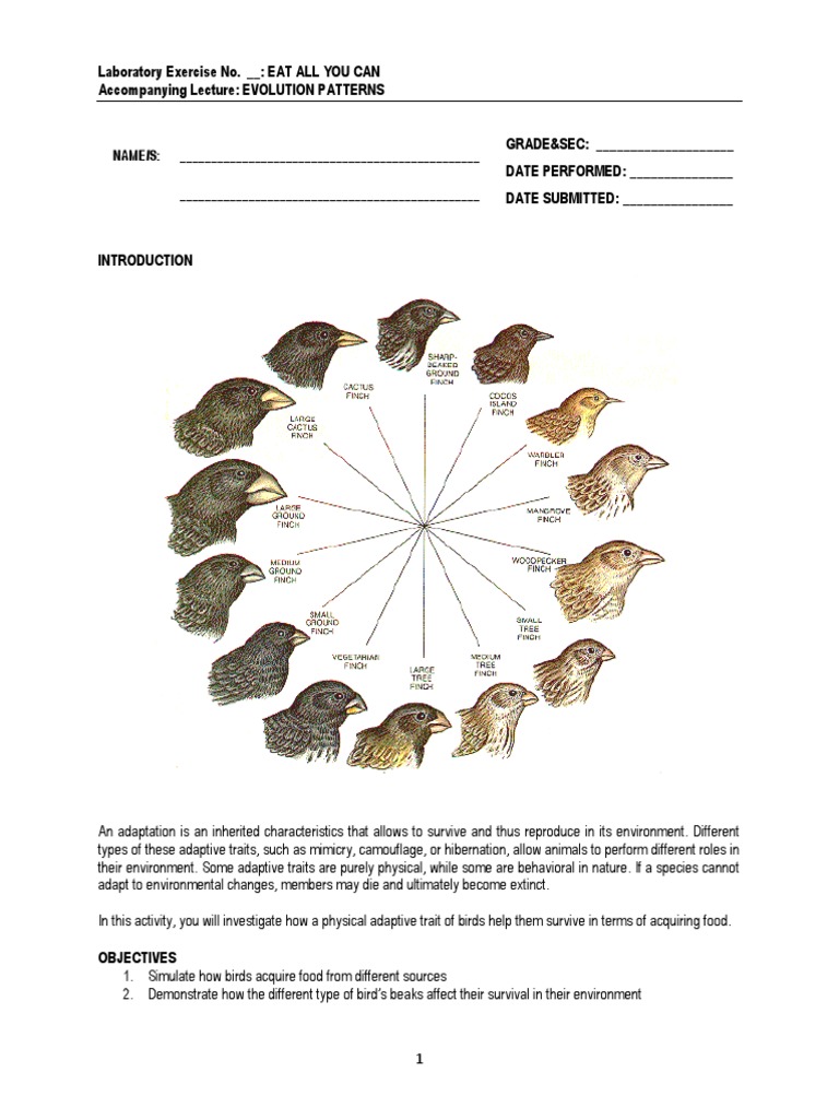 Laboratory Exercise No. - : EAT ALL YOU CAN Accompanying Lecture ...