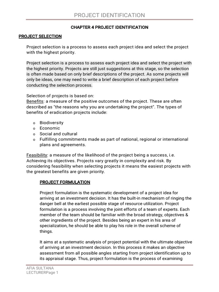 Project Identification | PDF