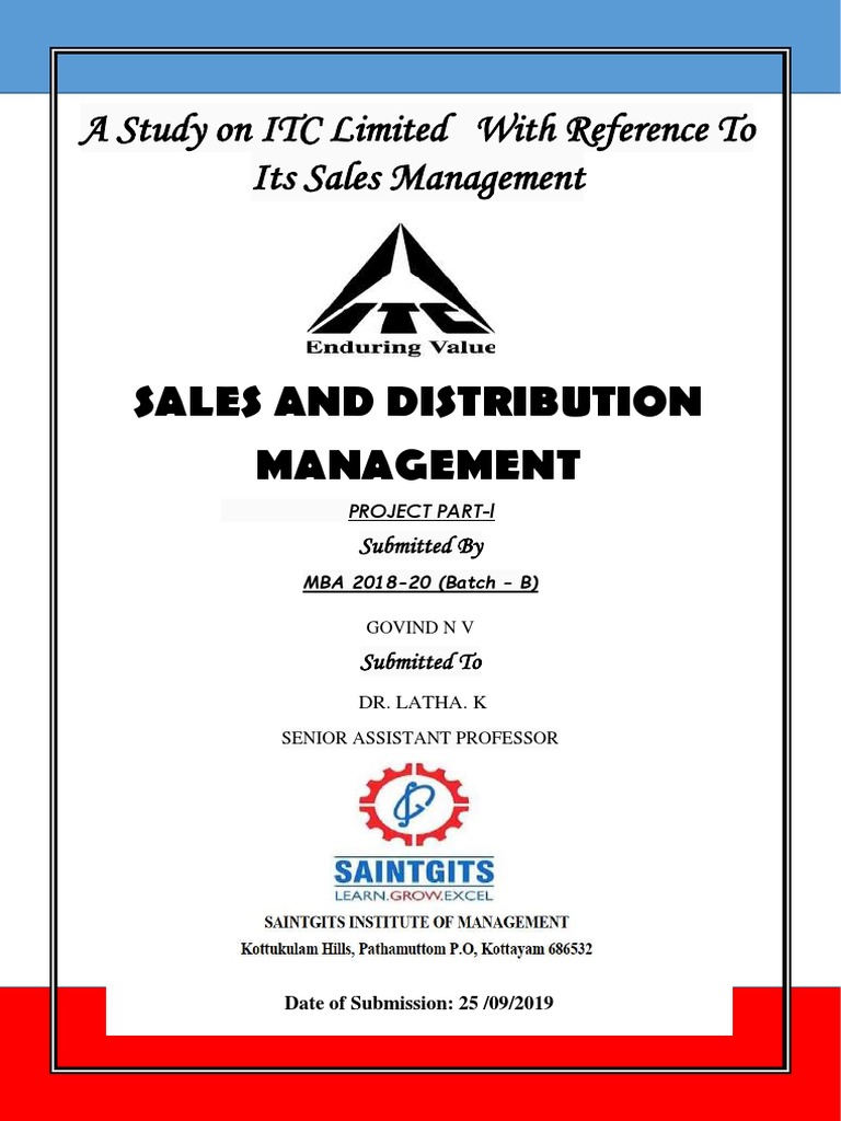 SDM Project | PDF | Sales | Business