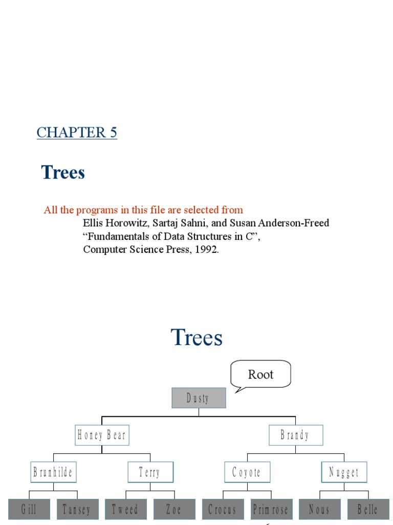 Trees: All The Programs in This File Are Selected From | PDF | Mathematical Logic | Information ...