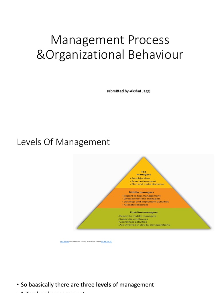 Management Process &organizational Behaviour | PDF
