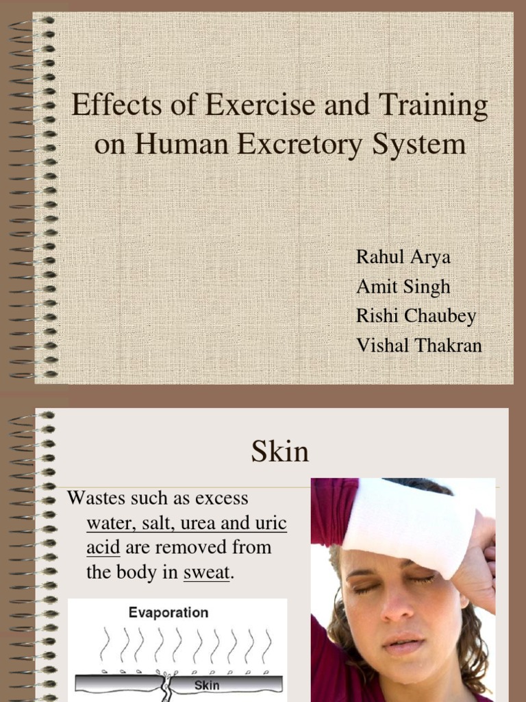 Effects of Exercise and Training On Human Excretory System: Rahul Arya ...