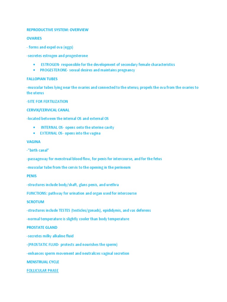 Reproductive System: Overview Ovaries | PDF | Fetus | Menstrual Cycle