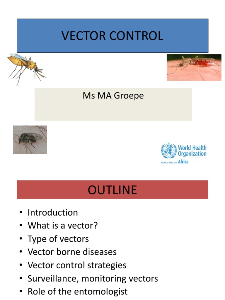 Vector Control | Download Free PDF | Vector (Epidemiology) | Mosquito