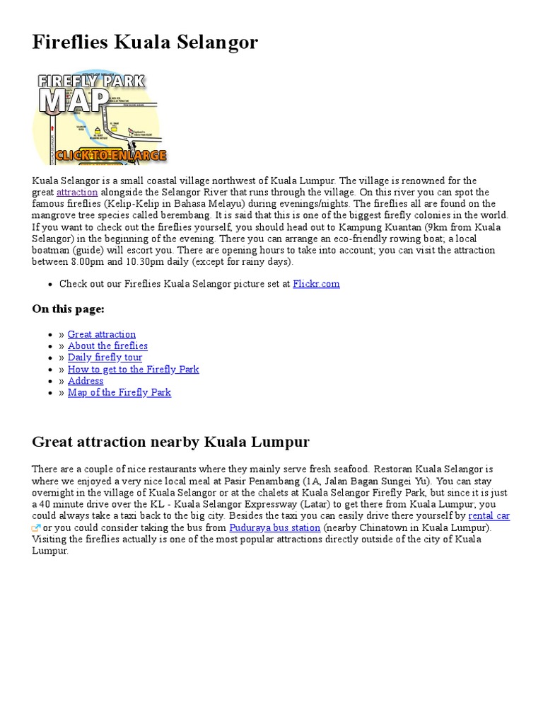 A Glowing Experience: A Guide to Visiting the Magnificent Firefly ...