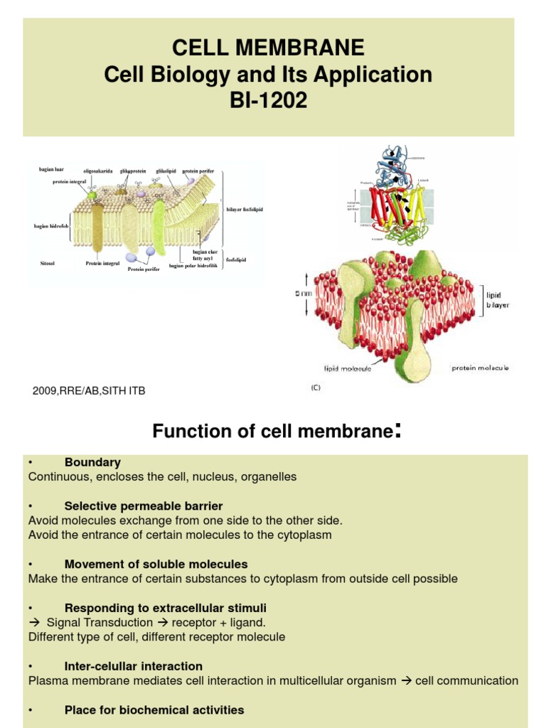 Cell Membrane Cell Biology and Its Application BI-1202: 2009, RRE/AB ...