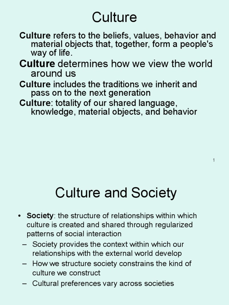 Introduction To Culture | PDF | Value (Ethics) | Society