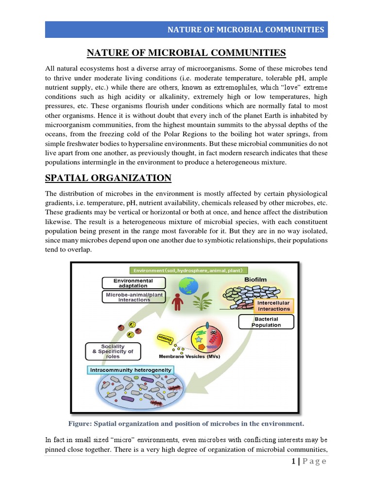 Nature of Microbial Communities | PDF | Biofilm | Bacteria