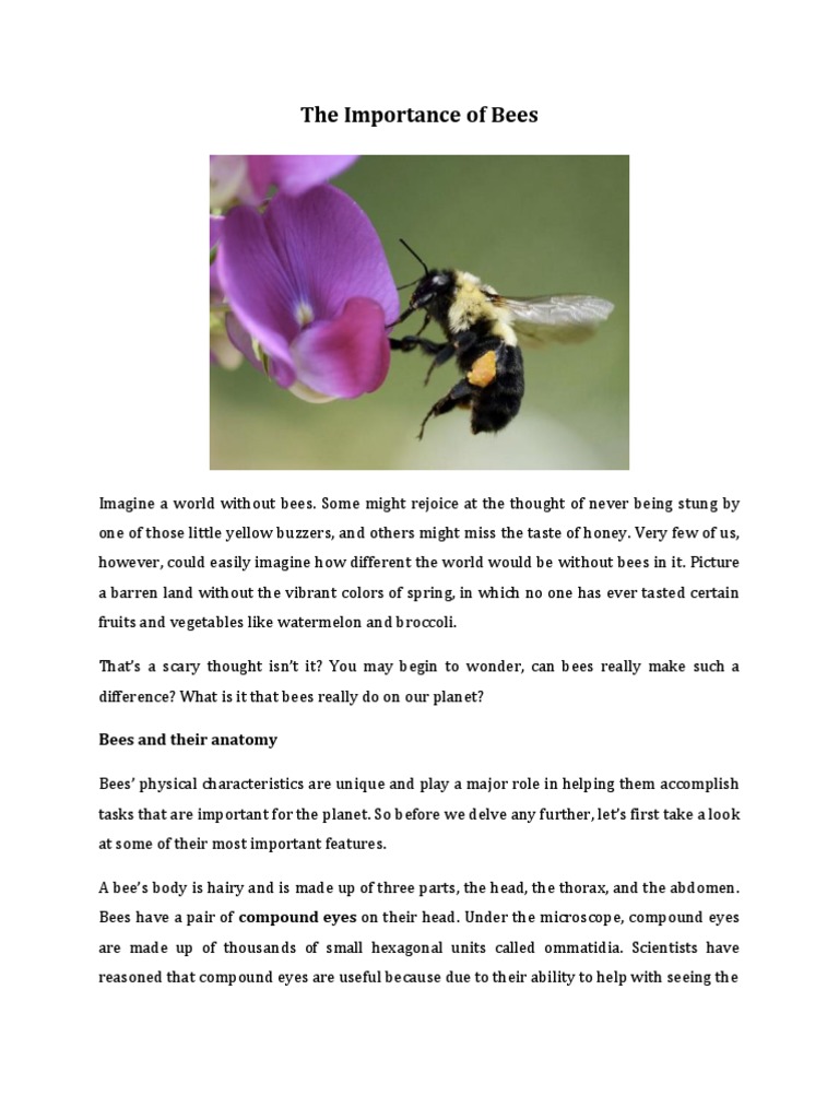 The Importance of Bees | PDF | Honey Bee | Flowers