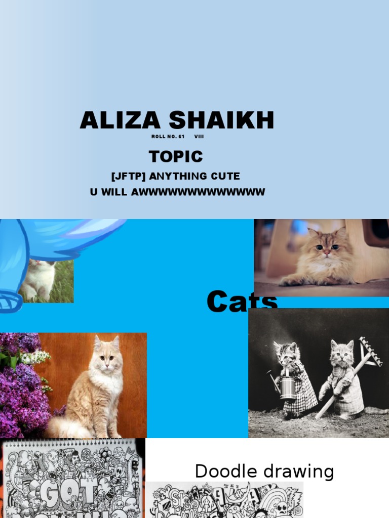 Cats | PDF