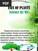 Grade 3 Plants Parts and Their Functions | PDF | Flowers | Petal