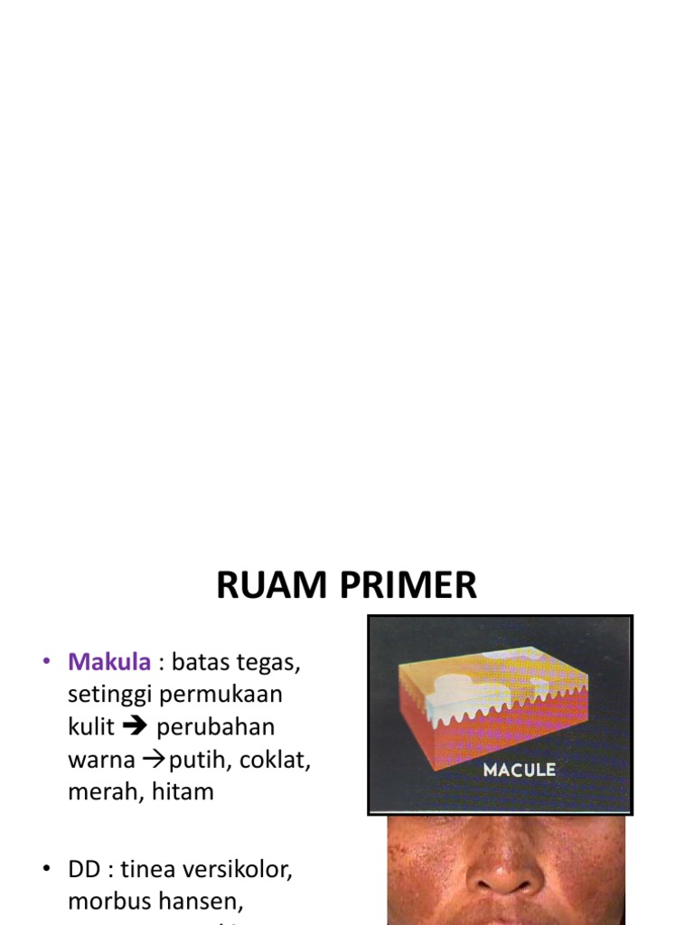 Ruam Primer Dan Sekunder | PDF