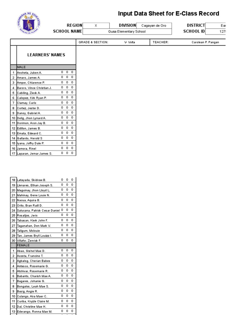 E-Class Record Input Sheet | PDF