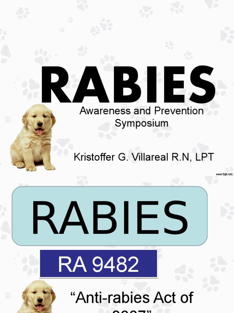 Rabies Awareness | PDF