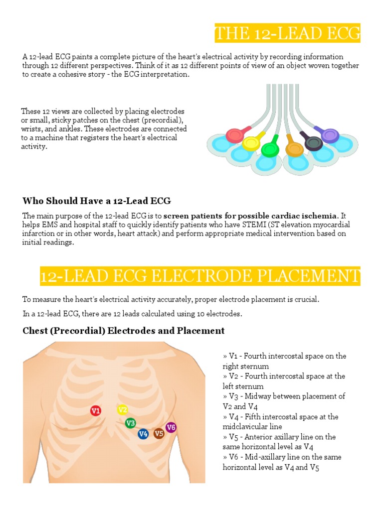 12 Lead ECG Placement: Diagram And Mnemonic For Limb And, 41% OFF