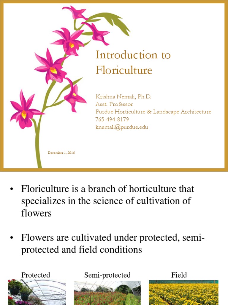 Introduction To Floriculture PDF | PDF | Aquaponics | Agriculture