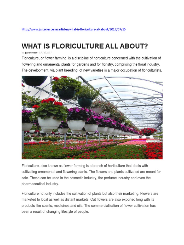 What Is Floriculture? | PDF | Floristry | Plants