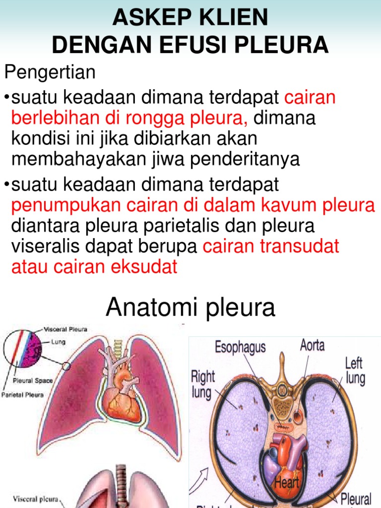 ASKEP EFUSI PLEURA As | PDF