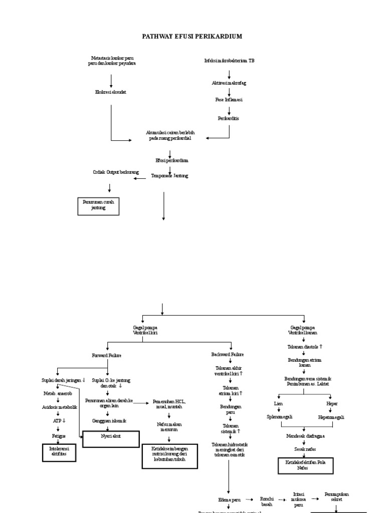 Pathway Efusi Pericardium R 5 | PDF