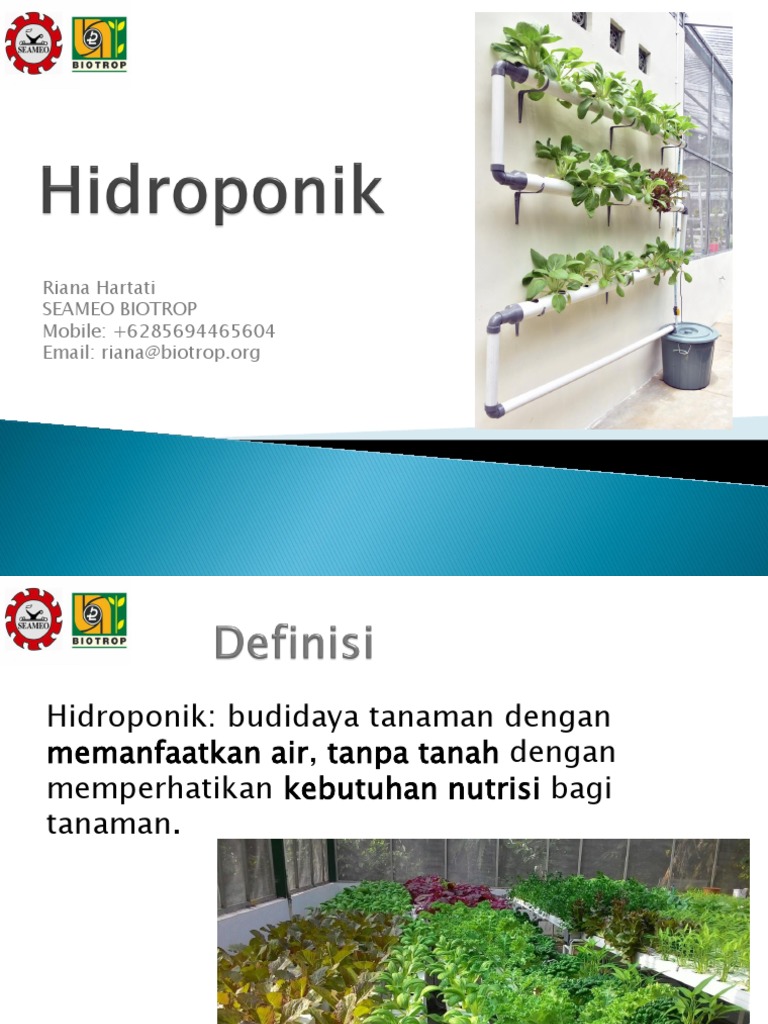 Hidroponik Dan Akuaponik - Materi TEFA | PDF