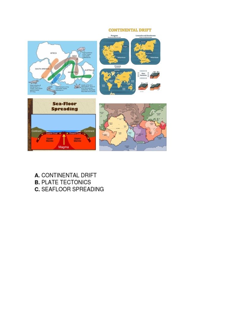 A. Continental Drift B. Plate Tectonics C. Seafloor Spreading | PDF