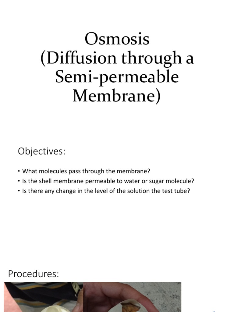 Osmosis (Diffusion Through A Semi-Permeable Membrane) | PDF | Home ...