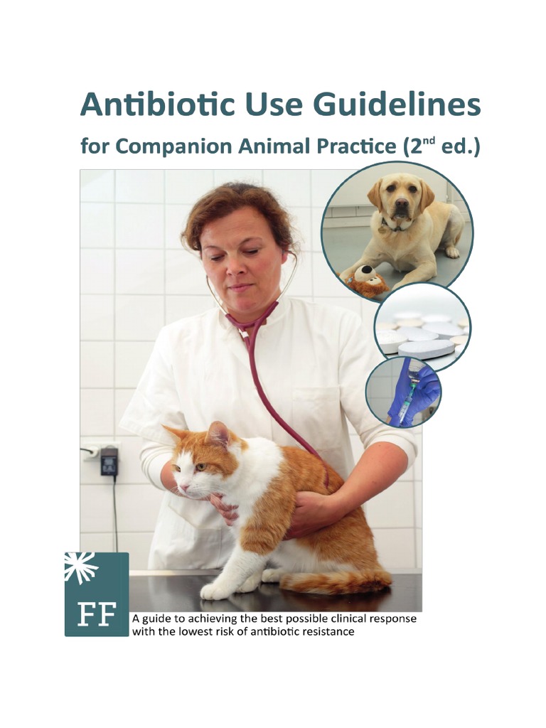 Updated Antibiotic Guidelines for Pets | PDF | Antimicrobial Resistance ...