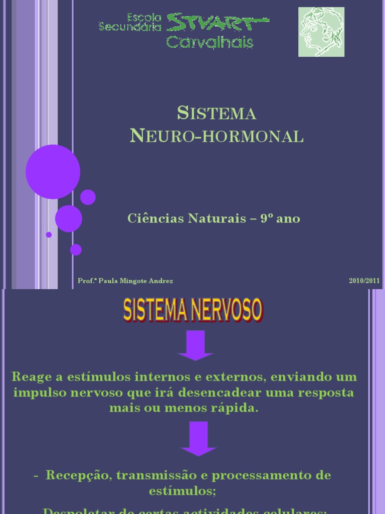 Sistema Neuro Hormonal | PDF | Cérebro humano | Sistema nervoso central