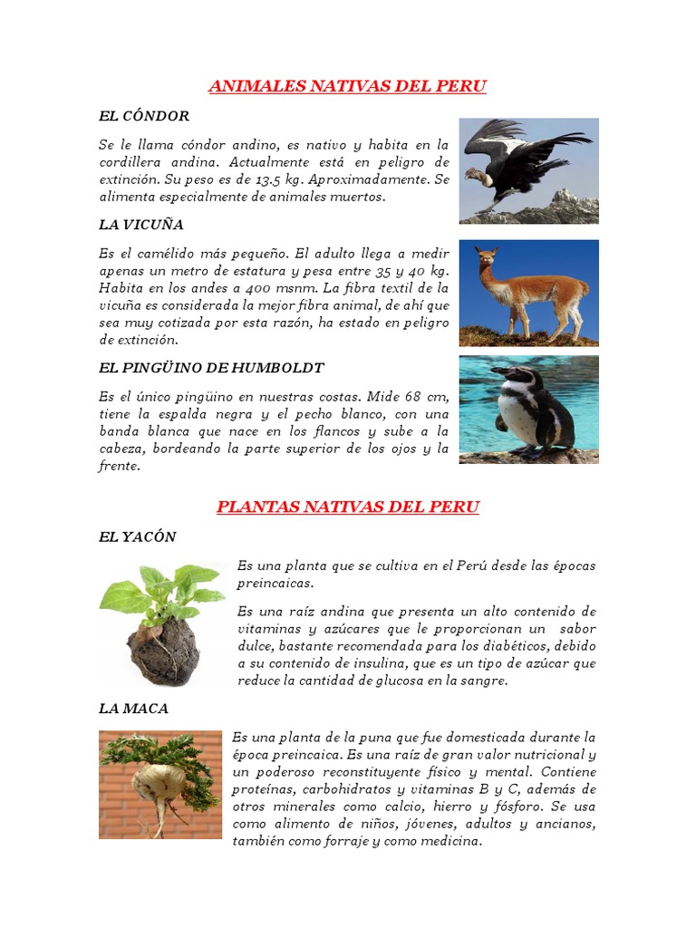 Animales Nativas Del Peru | PDF | Andes | Perú