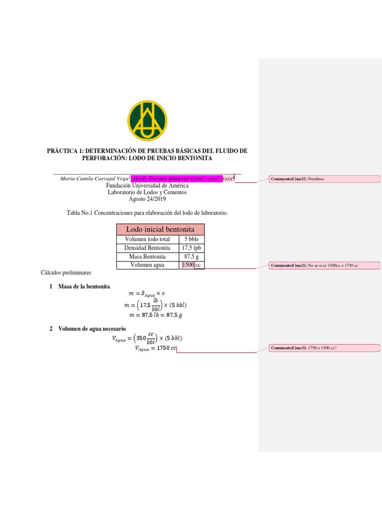 Laboratorio Bentonita | PDF | Filtración | Concentración